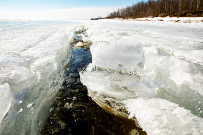 Melting Ice on Lake Winnipeg. March 31 2019 – Leif Norman photographer